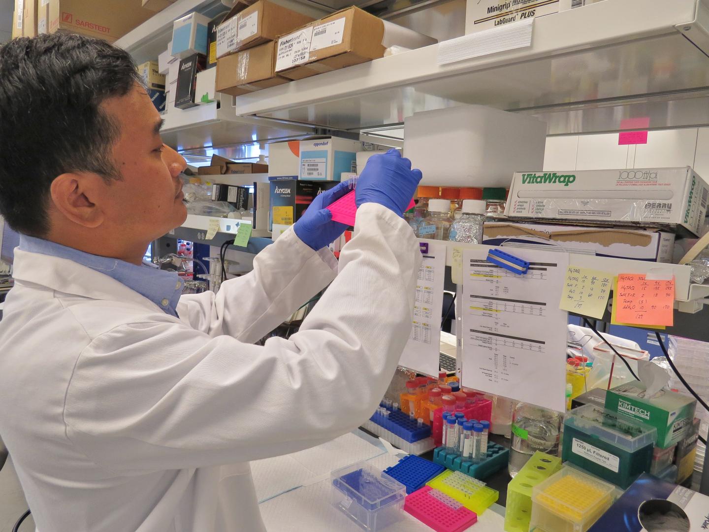 Tenzin Gayden (co-first author [IMAGE] | EurekAlert! Science News Releases