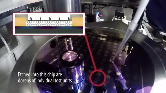 WPI researchers build liquid biopsy chip that | EurekAlert!