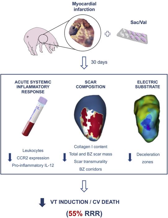Graphical abstract [IMAGE] | EurekAlert! Science News Releases