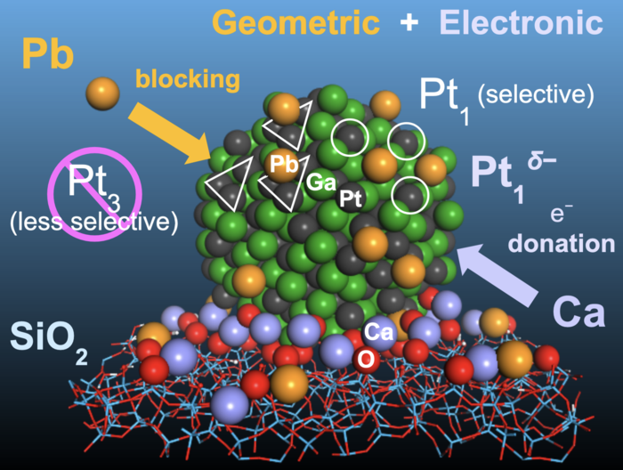 The novel catalyst design [IMAGE] | EurekAlert! Science News Releases