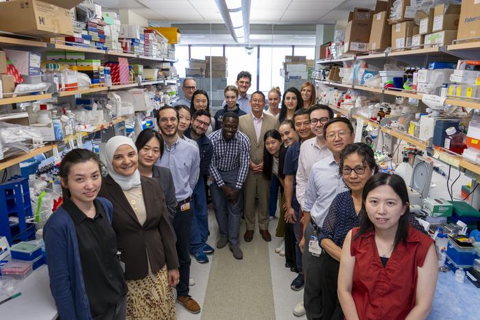 Chan lab at the University of [IMAGE] | EurekAlert! Science News Releases