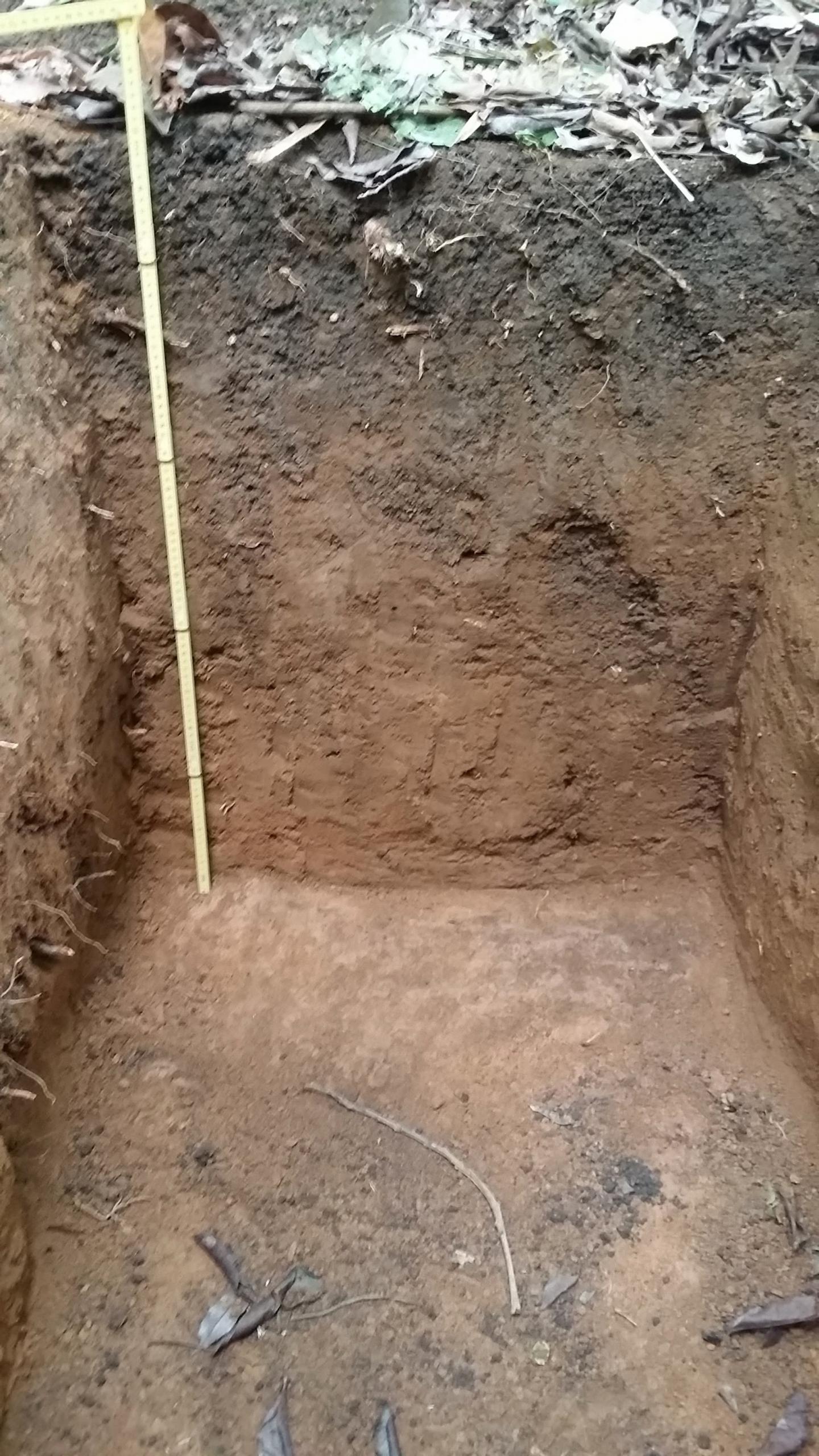 Dark Earth 1 [IMAGE] | EurekAlert! Science News Releases