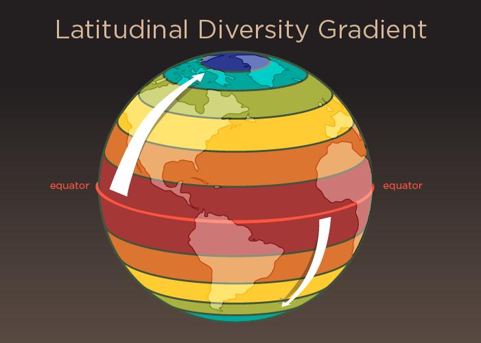 Latitudinal Diversity Gradient [IMAGE] | EurekAlert! Science News Releases