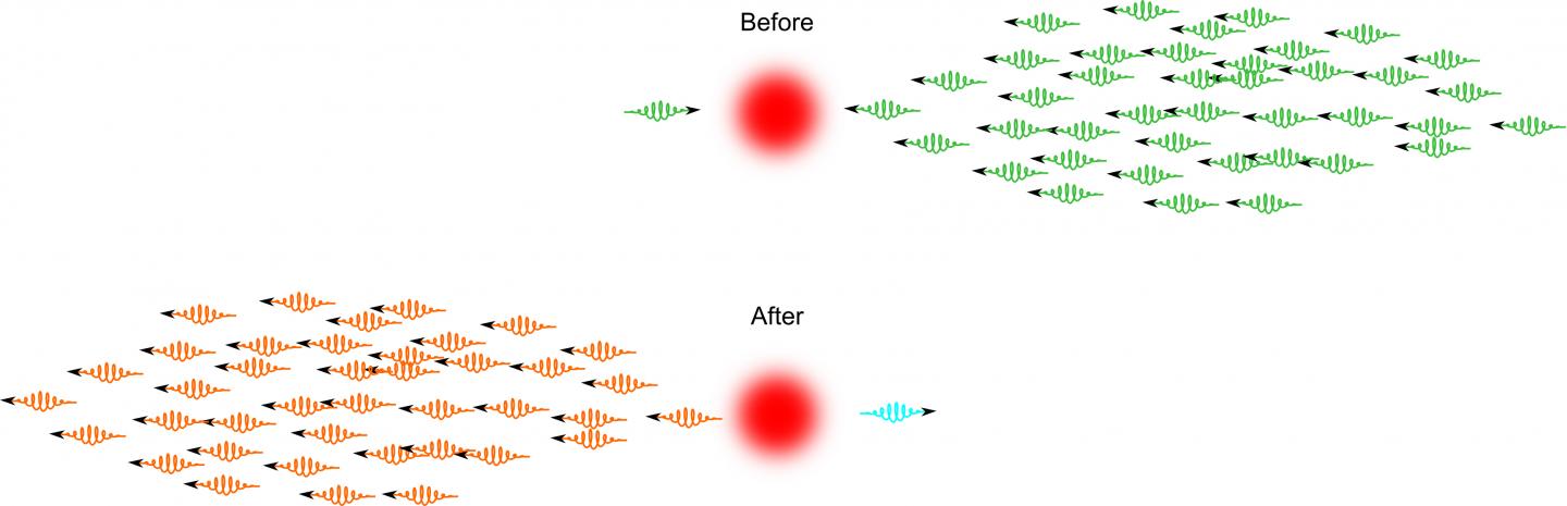 A little light interaction leaves quantum phy | EurekAlert!