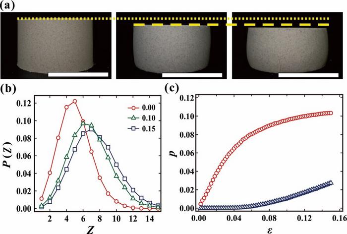 How sand columns deform. [IMAGE] | EurekAlert! Science News Releases