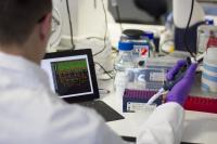 New Model Predicts the Decisions of a Stem Ce | EurekAlert!