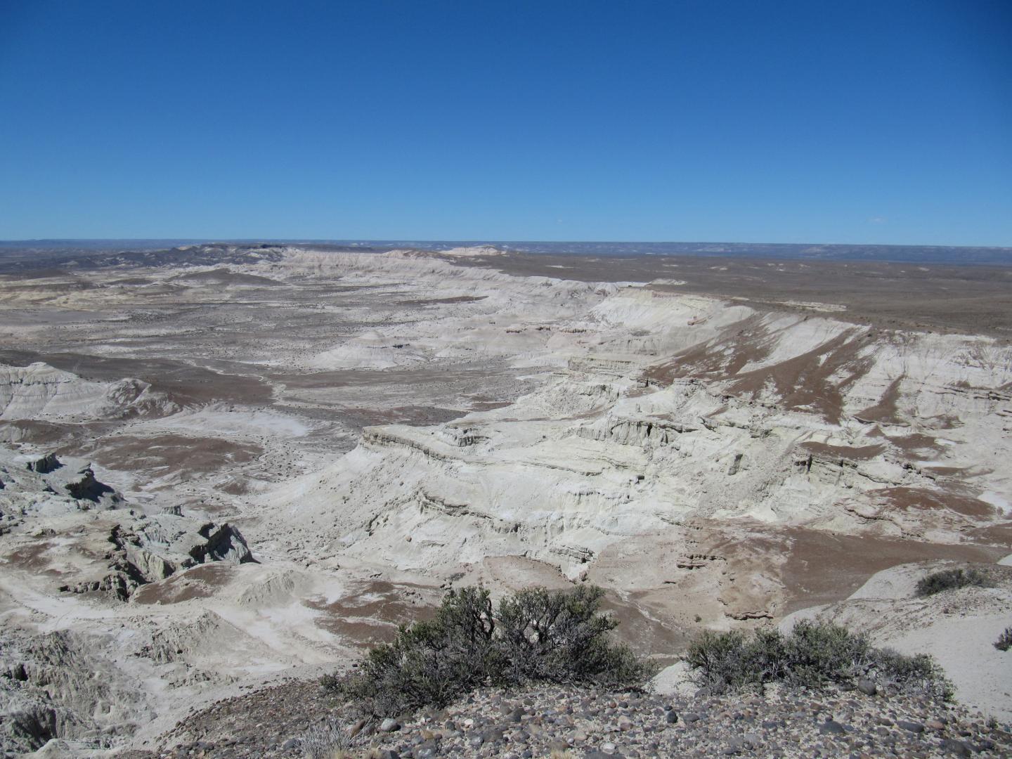 New Vegetation Record Syncs With Cenozoic Cli | EurekAlert!