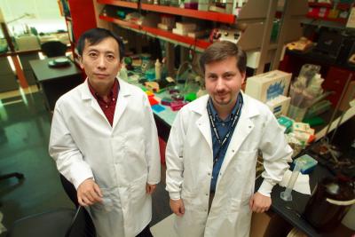 Drs. Huidong Shi and Keith D. [IMAGE] | EurekAlert! Science News Releases