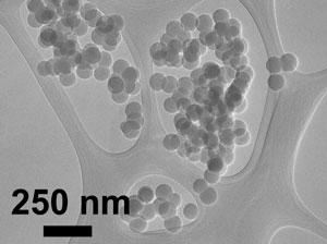 Nanoparticles Under Electron M [IMAGE] | EurekAlert! Science News Releases