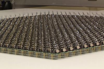 Collective Behavior in a Thous [IMAGE] | EurekAlert! Science News Releases