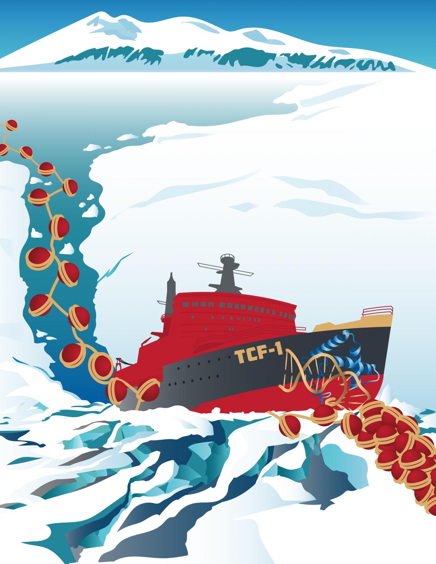 Icebreaker [IMAGE] | EurekAlert! Science News Releases