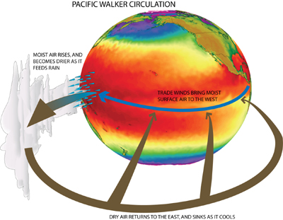 Walker circulation [IMAGE] | EurekAlert! Science News Releases