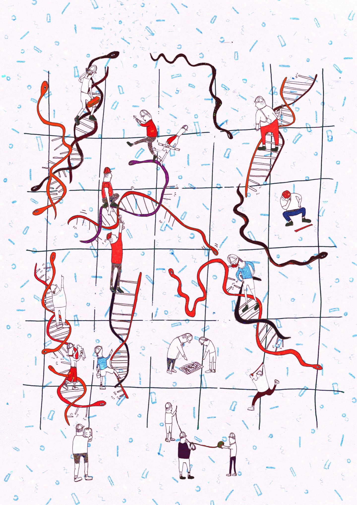 Snakes and Ladders [IMAGE] | EurekAlert! Science News Releases