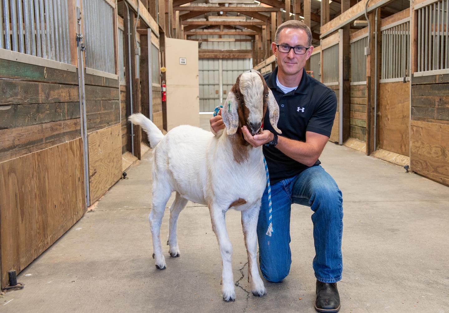Jon Oatley with surrogate goat [IMAGE] | EurekAlert! Science News Releases