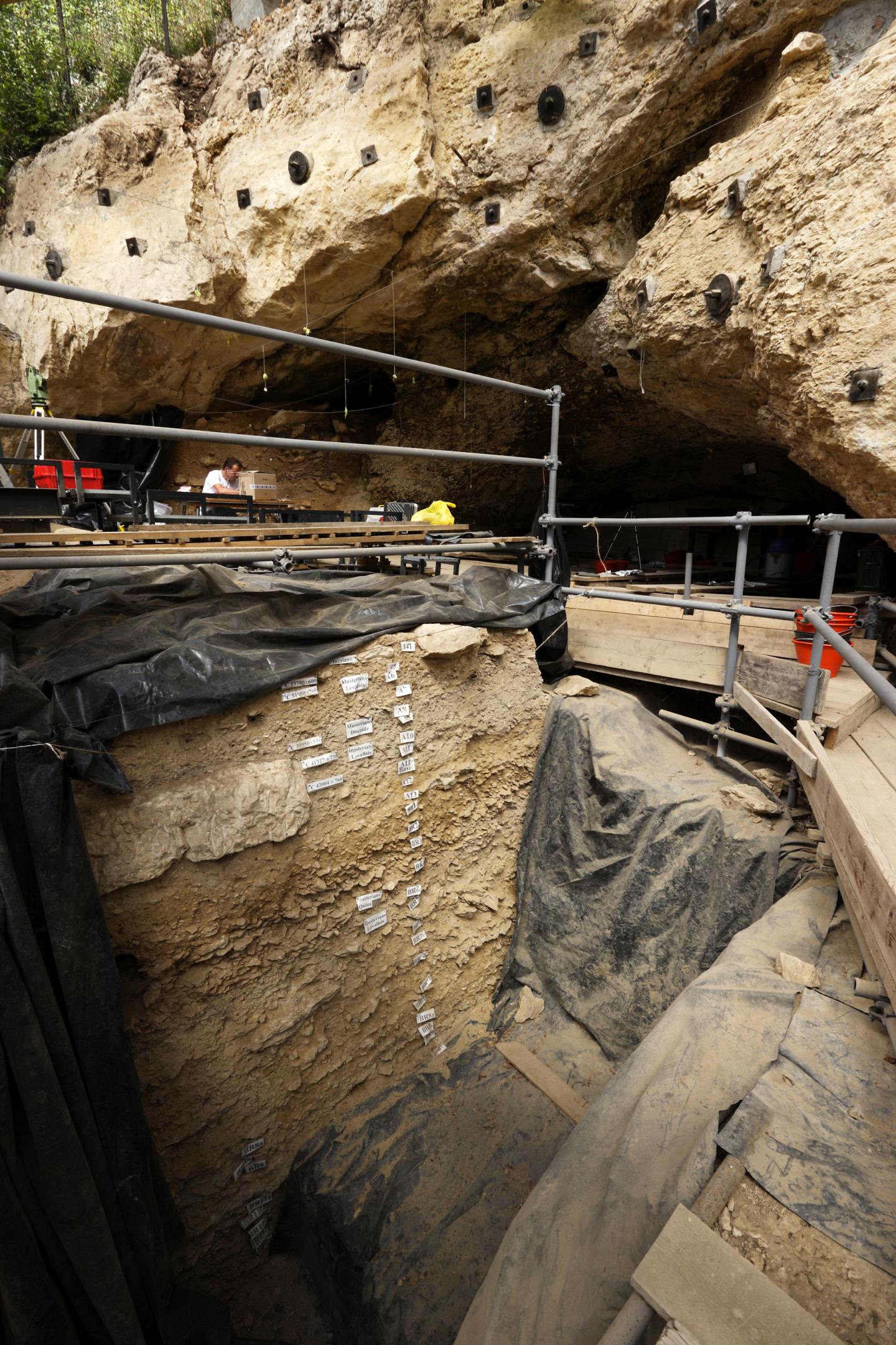 Ancient Teeth Inform Humans' Arrival in Europ | EurekAlert!