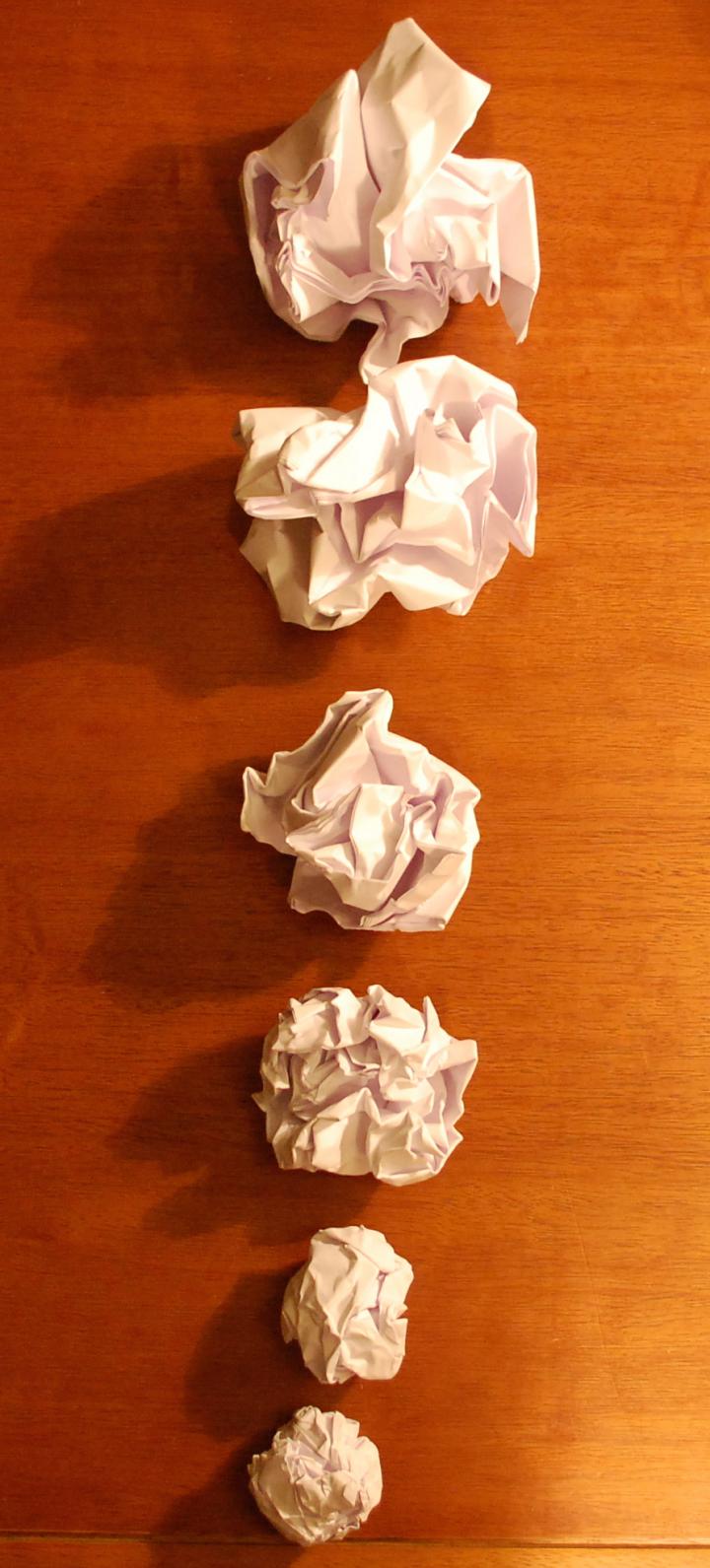 Paper and Mammalian Brains: They All Fold the | EurekAlert!