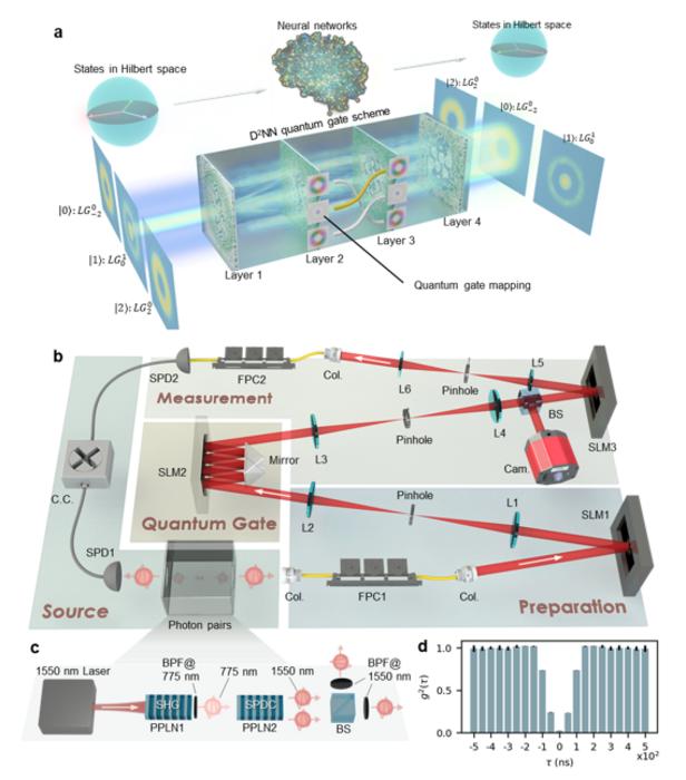 High fidelity spatial mode quantum gates enab | EurekAlert!