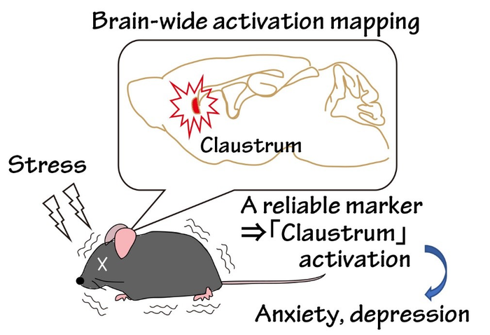 Fig. [IMAGE] | EurekAlert! Science News Releases