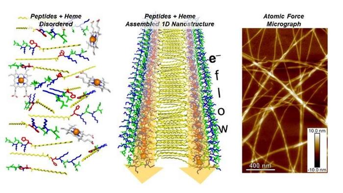 Nature Inspires a New Wave of [IMAGE] | EurekAlert! Science News Releases