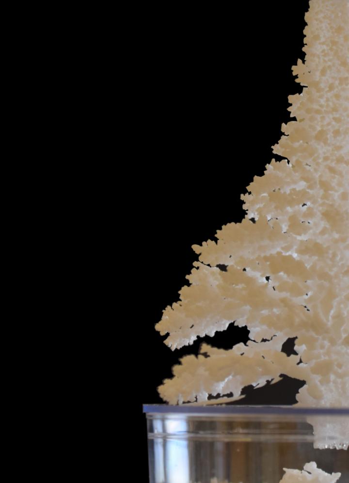Destructive "Salt Creeping" Controlled with A | EurekAlert!
