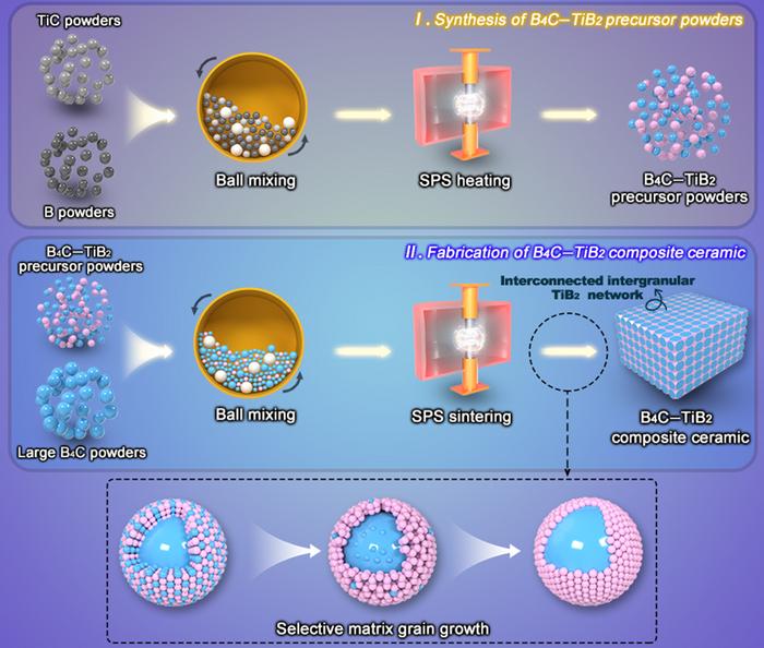 Schematic diagram of the prepa [IMAGE] | EurekAlert! Science News Releases