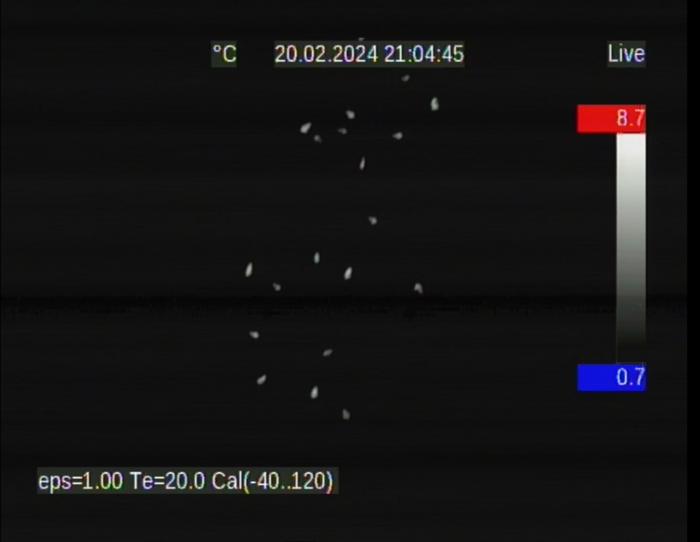 Infrared camera image of deer [IMAGE] | EurekAlert! Science News Releases