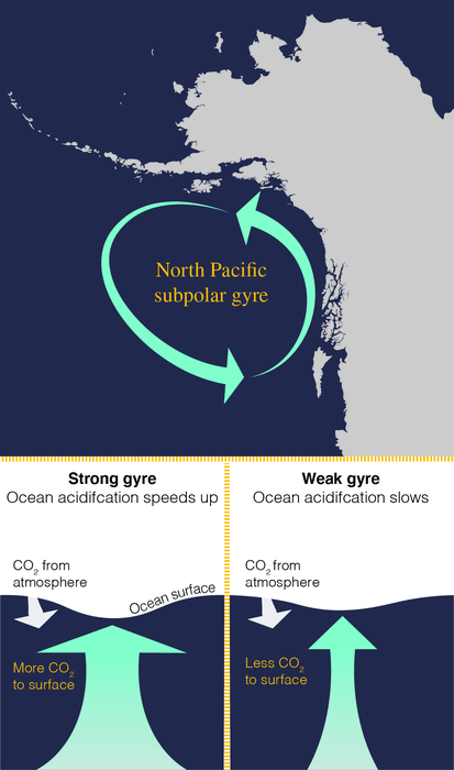 This graphic of the North Paci [IMAGE] | EurekAlert! Science News Releases