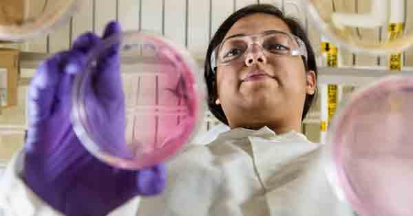 Chasing Brain Cancer [IMAGE] | EurekAlert! Science News Releases