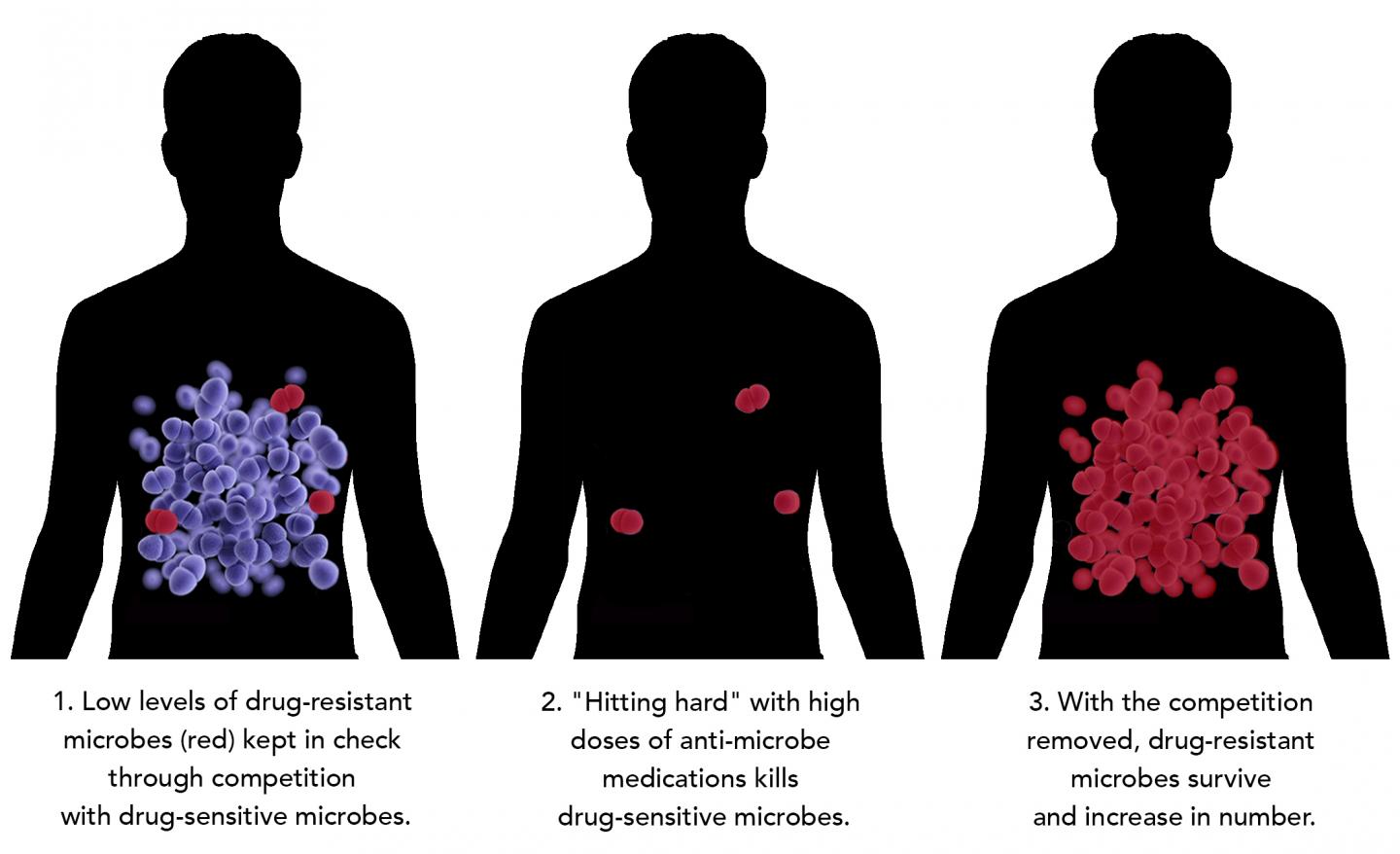 What Is The Optimal Dose Of Me [IMAGE] | EurekAlert! Science News Releases