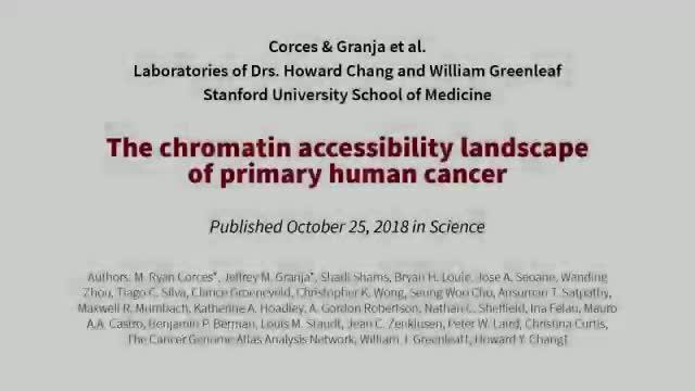Mapping the Chromatin Landscape of Human Canc | EurekAlert!