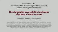 Mapping the Chromatin Landscape of Human Canc | EurekAlert!