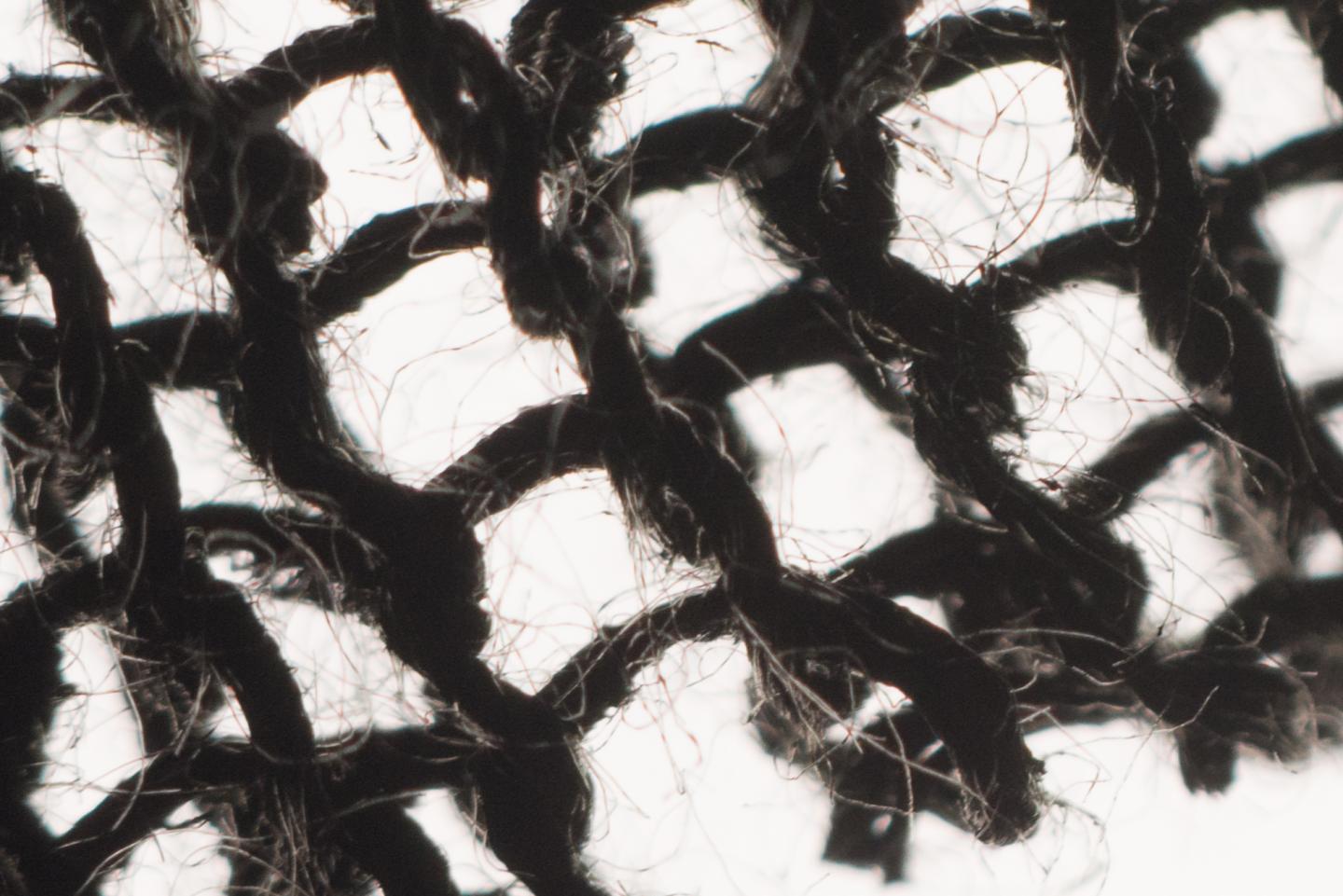 Knitting and Weaving Electrically Active Fabr | EurekAlert!