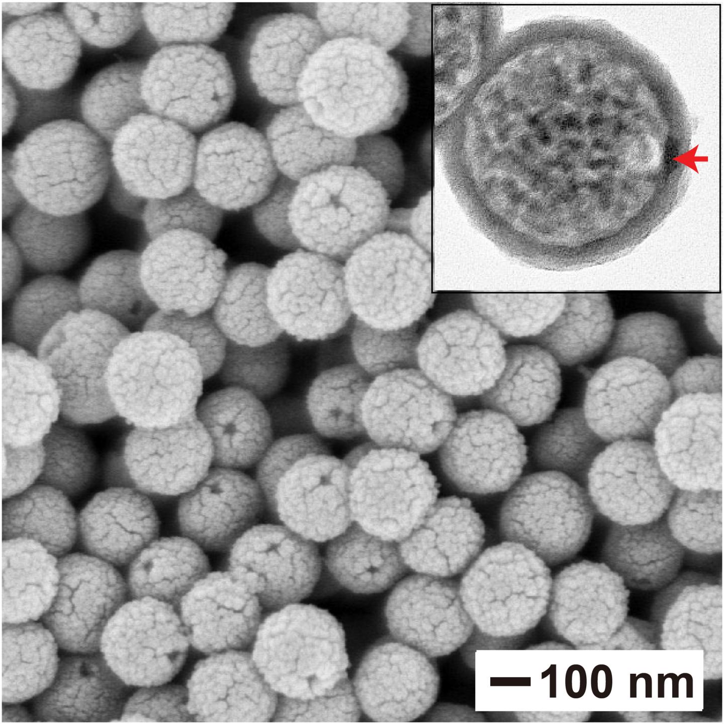 Silica Nanocapsules [IMAGE] | EurekAlert! Science News Releases