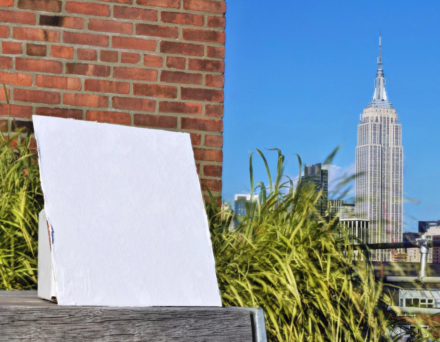 Vis Version: Columbia Engineer [IMAGE] | EurekAlert! Science News Releases