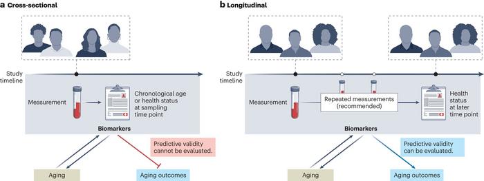 Cohort Study Desing in Biomark [IMAGE] | EurekAlert! Science News Releases