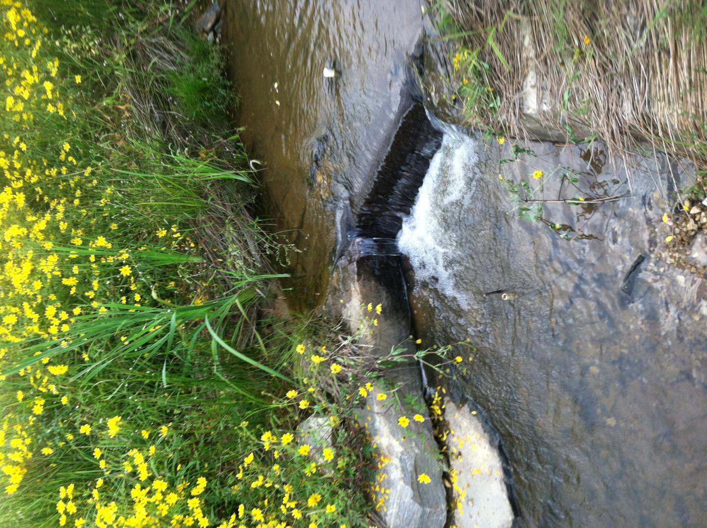 Stream Cross-Vane Structure [IMAGE] | EurekAlert! Science News Releases