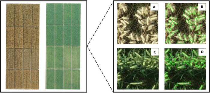 Fig. 1 [IMAGE] | EurekAlert! Science News Releases