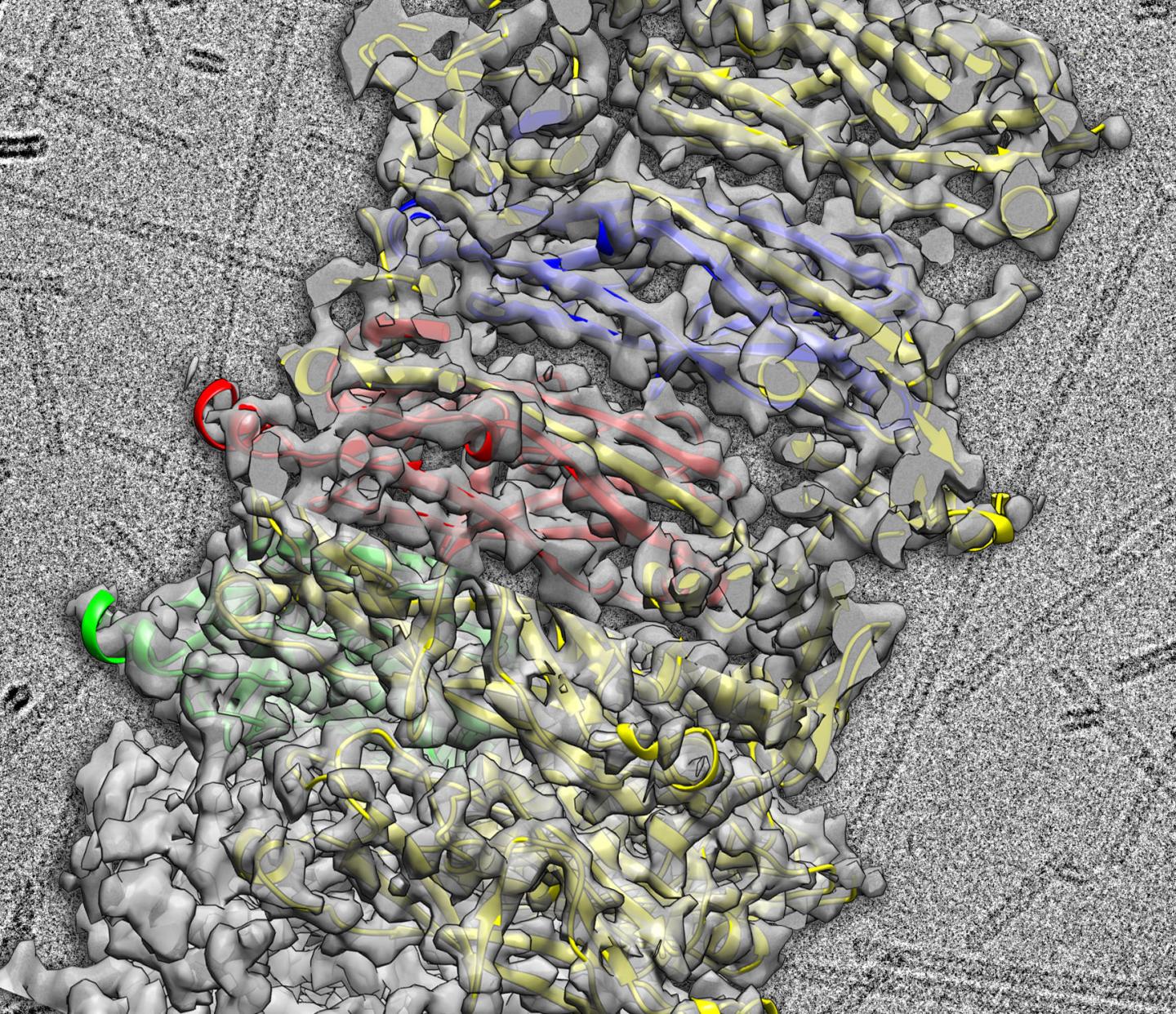 Flexible Coils [IMAGE] | EurekAlert! Science News Releases