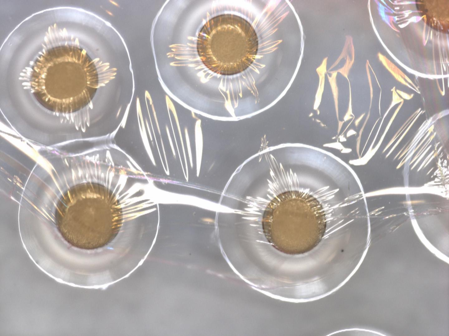 Quick-Wrap of Water Creates 3D Polymer Membra | EurekAlert!