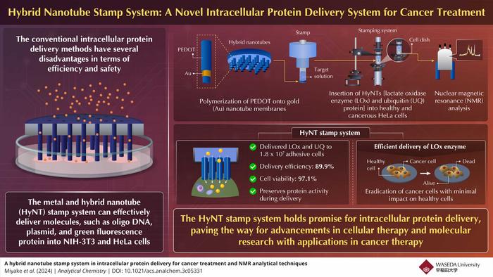 PEDOT/Au HyNT stamp system for [IMAGE] | EurekAlert! Science News Releases