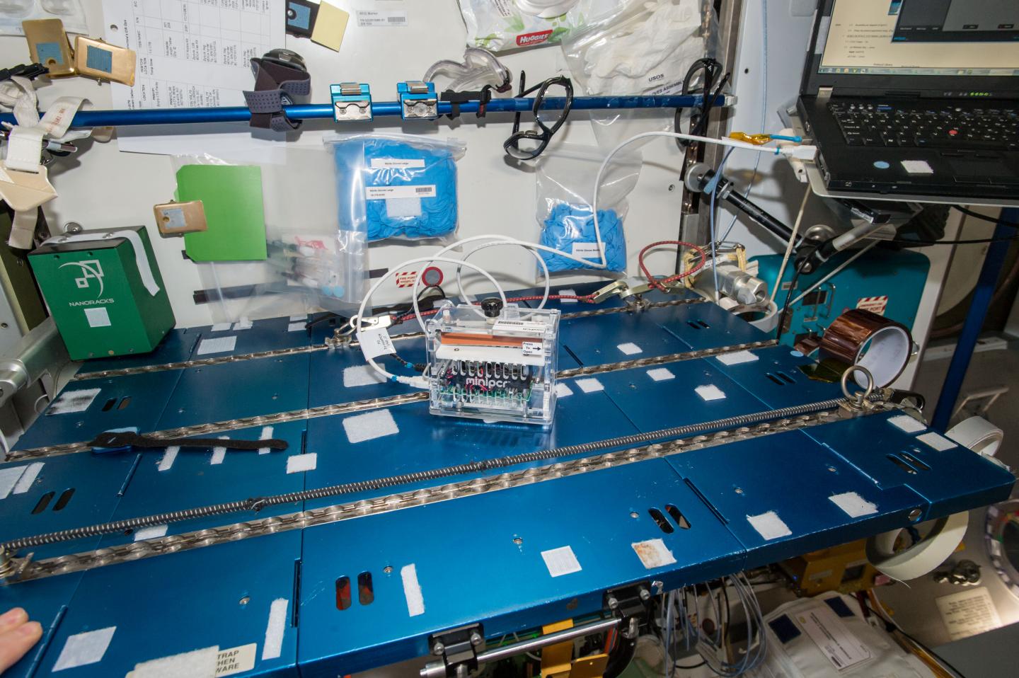 miniPCR [IMAGE] | EurekAlert! Science News Releases