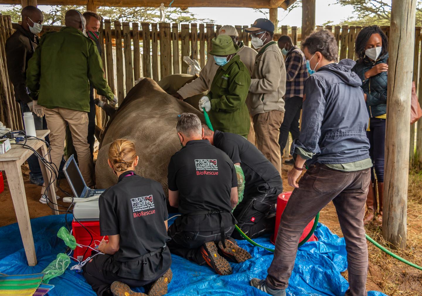 Leibniz-IZW scientists Dr. Sus [IMAGE] | EurekAlert! Science News Releases