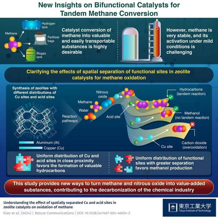 A novel multifunctional catalyst turns methan | EurekAlert!