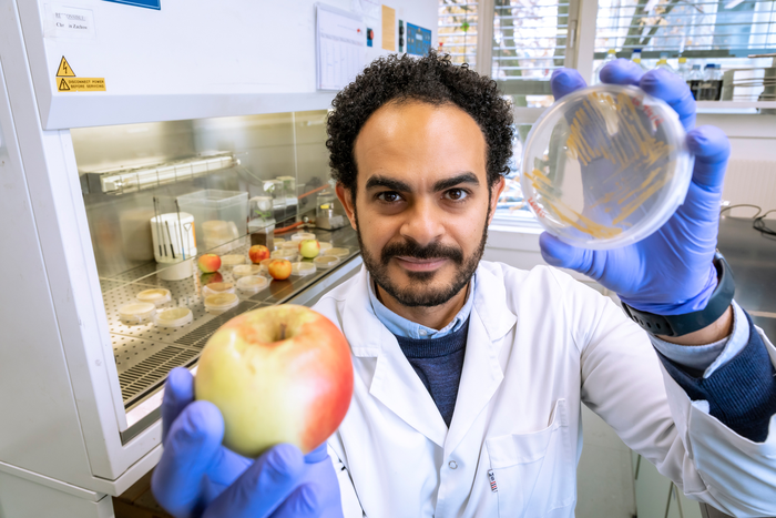 Portrait Ahmed Abdelfattah [IMAGE] | EurekAlert! Science News Releases