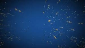 Toroidal field coils and the t [IMAGE] | EurekAlert! Science News Releases