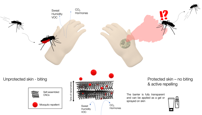 Graphical abstract [IMAGE] | EurekAlert! Science News Releases