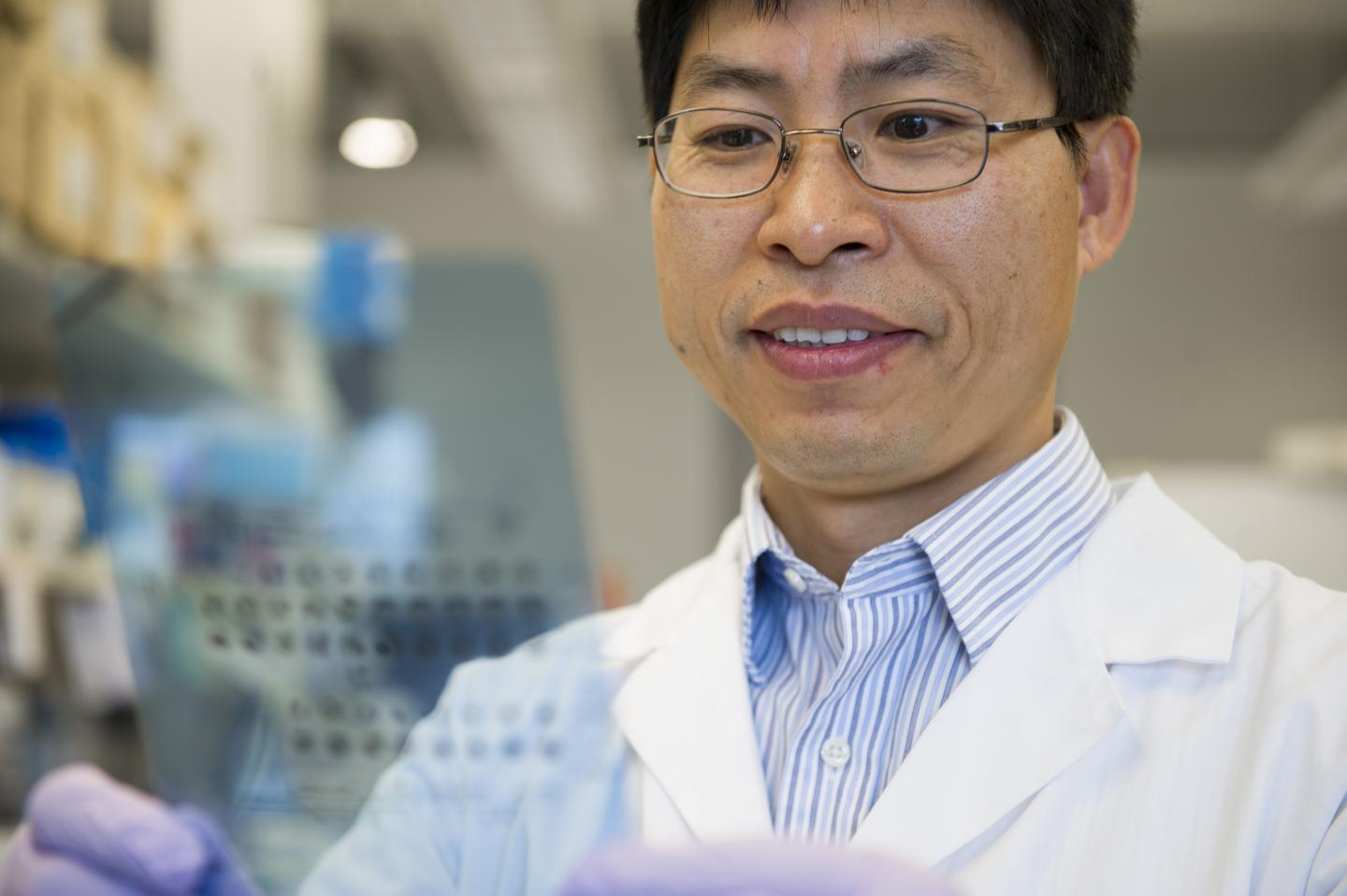 Jianjun Chen, Ph.D., Universit [IMAGE] | EurekAlert! Science News Releases