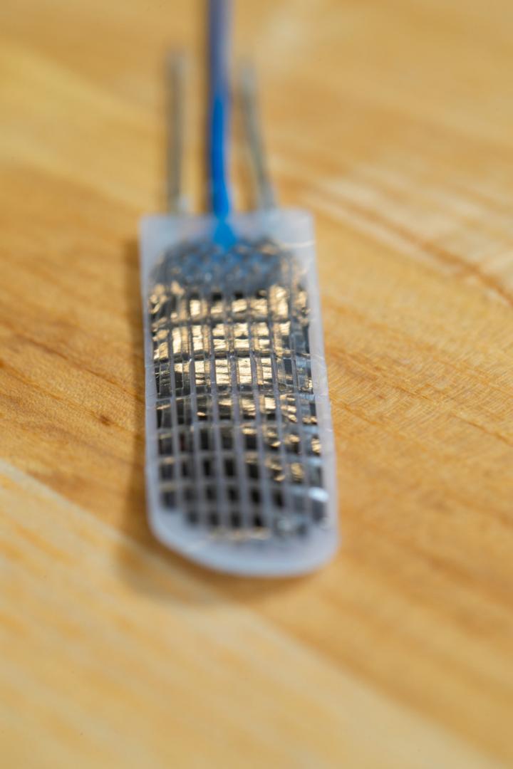 Electrode Array [IMAGE] | EurekAlert! Science News Releases