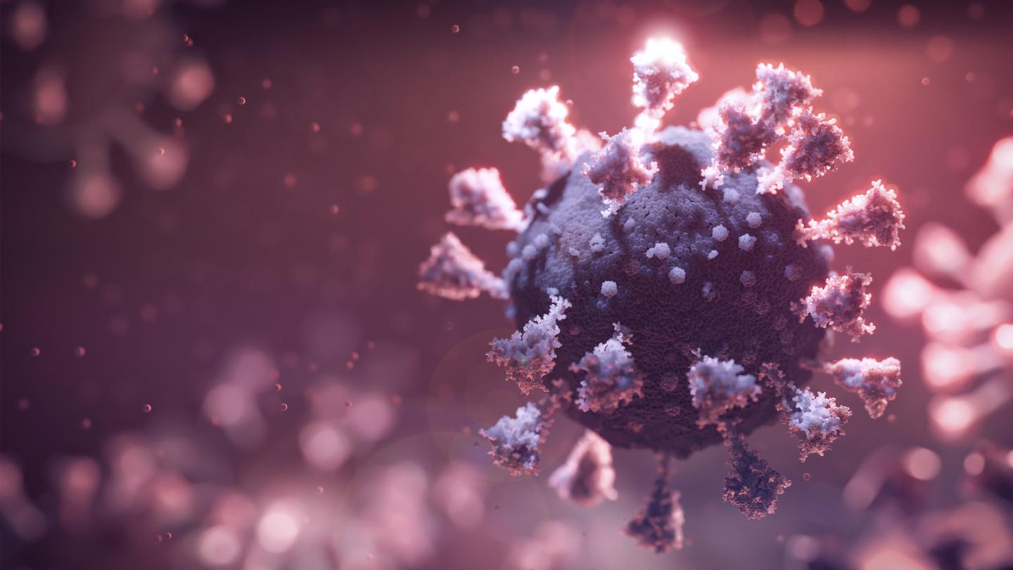 SARS-CoV-2 image 3 [IMAGE] | EurekAlert! Science News Releases