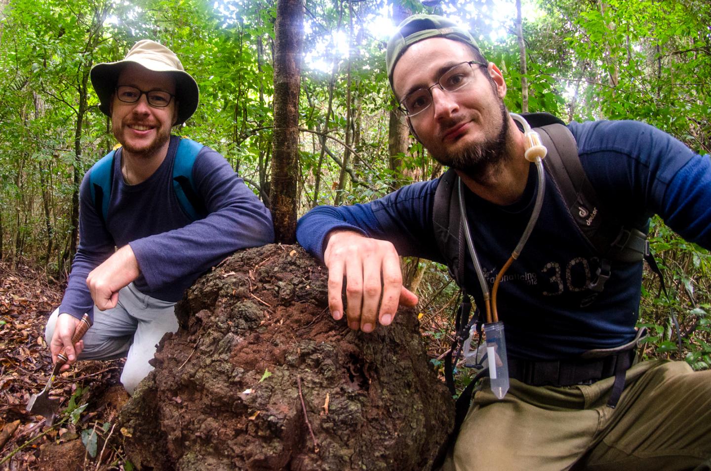 Professor Thomas Bourguignon, [IMAGE] | EurekAlert! Science News Releases